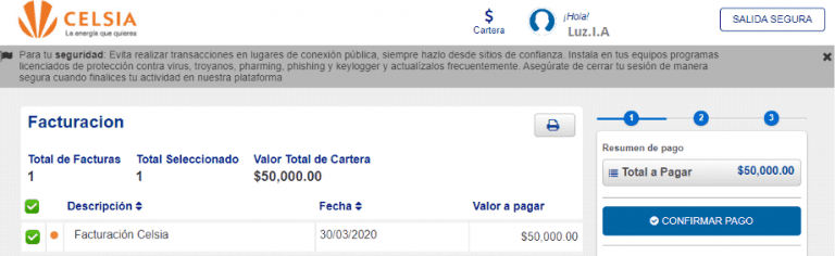 Cómo consultar la factura de luz